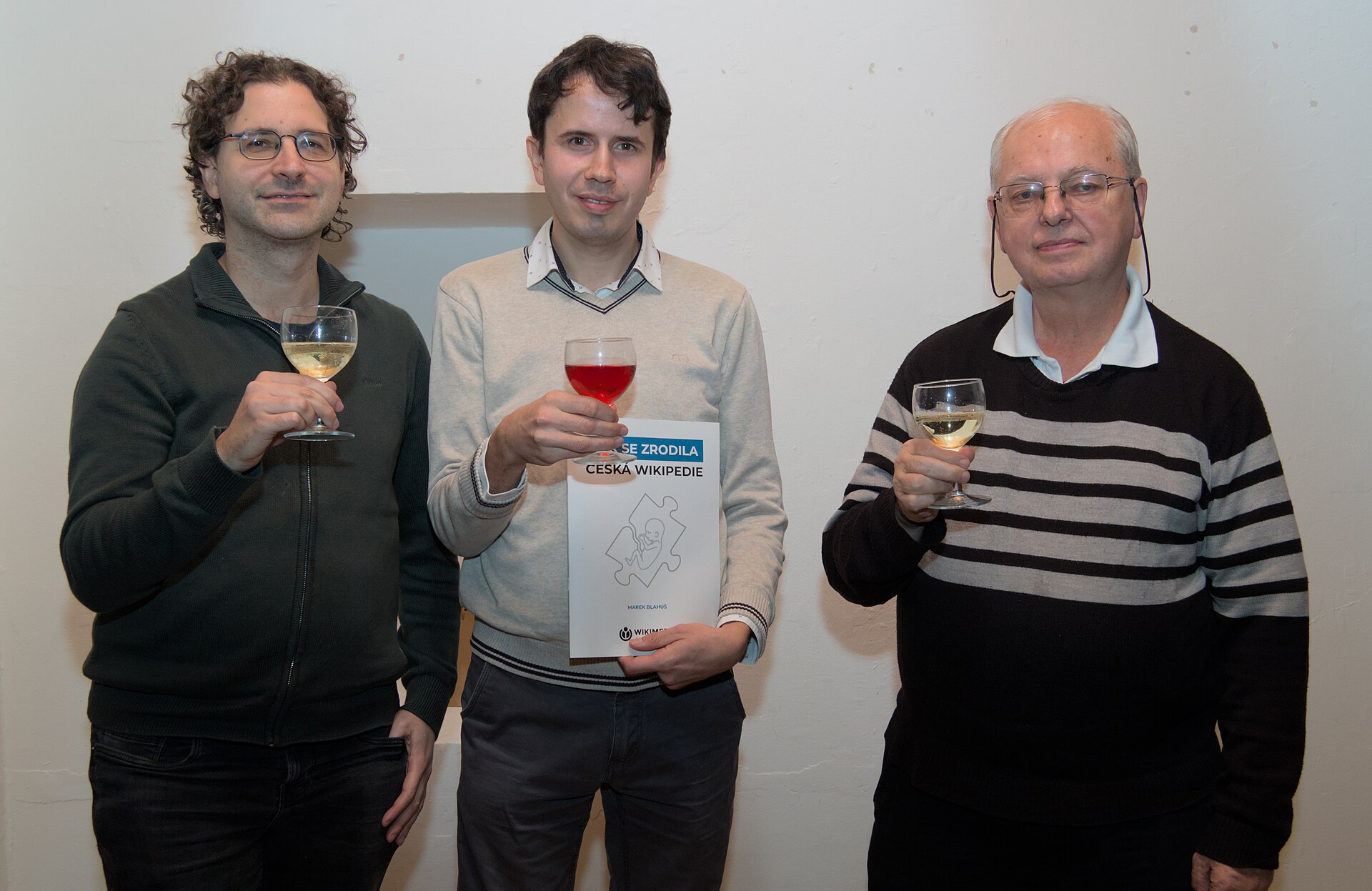 What was it like back then? Czech Wikipedia celebrates the anniversary ...